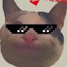 Waffercatyt Youtube_aura:max