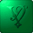 vismaya travels