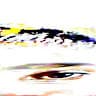 Aakash Krishna