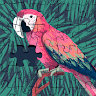 Doflamingo “D0ffy”