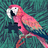 Doflamingo “D0ffy”