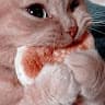 เล่นเกม MMK