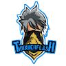 ThunderFlash gamer