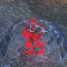 naaszard