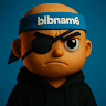 bibnam6