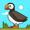 Whirly Bird
