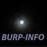 Burp-info Channel