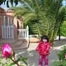 ahmed maxime