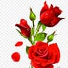 Shahab Uddin