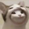 OofIDied