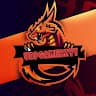 VDP Gamerz
