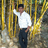 Nagaraj Bhajantri