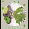 Agro Plante de vie