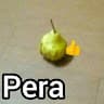 Pera11