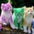 The world of cat