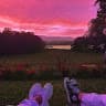 DARKSIDER GAMING