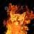 fire cat
