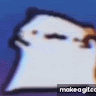 un gato random (michifuz)