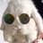 ZoL
