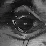 Side Quest