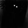 The Observer