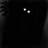 The Observer