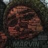 Marvin Buitendijk