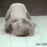 Brayden Zegers