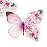 Ashika