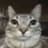Funny Animals For U
