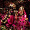 PRINCE THAKUR