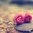 Basma Isleem