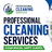 Professional Cleaning services
