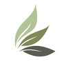 William Fritz CTFO CBD