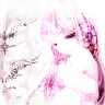 FV Angelicide