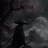 Xylers_spider