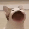 An Le