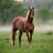 Universal Truth