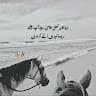 MUNIR AHMAD