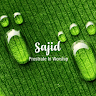 Sajid ali