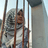 raian tasnim