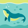 Aaish Amir