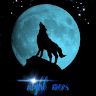 night mers