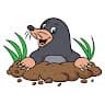 tareas tareas