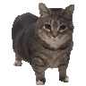 MASON LU