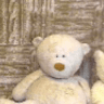 Scarface bear