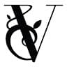 THE V SERIES