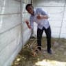 Arong Joel