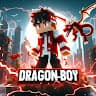 DRAGON SPIDER