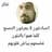 Ali Hamed